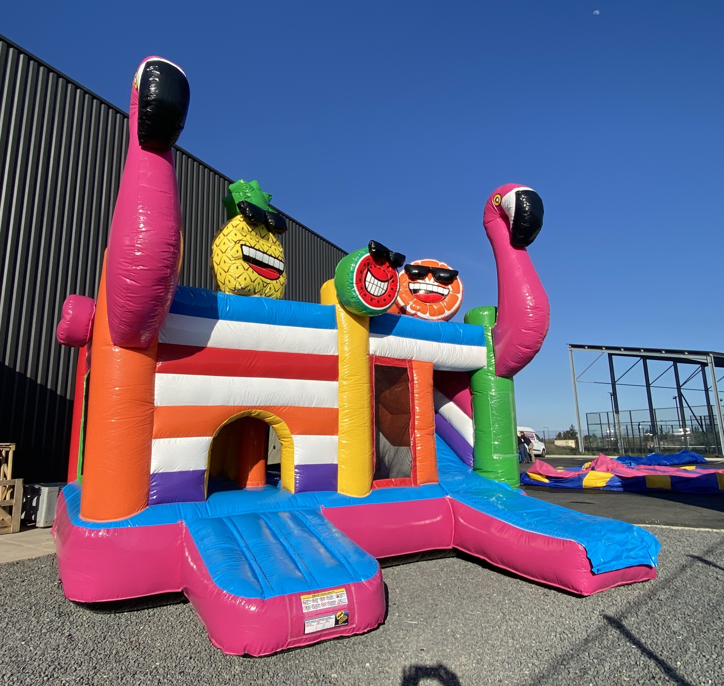 multiplay Gonflable flamants - Animations gonflables ASG34 : location ...